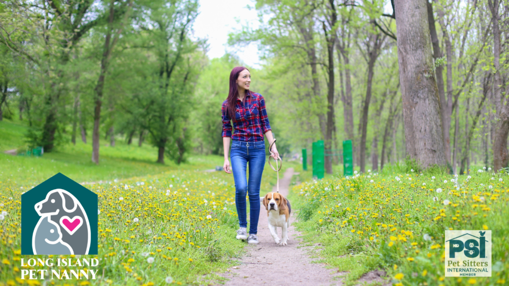 Request Info - Long Island Pet Nanny